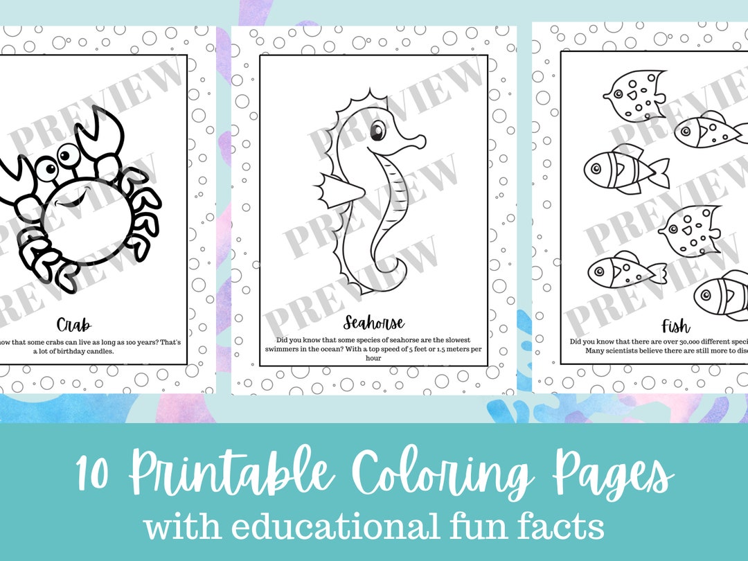 Under the Sea Coloring Book Pages 10 Sea Animals Printable Coloring ...