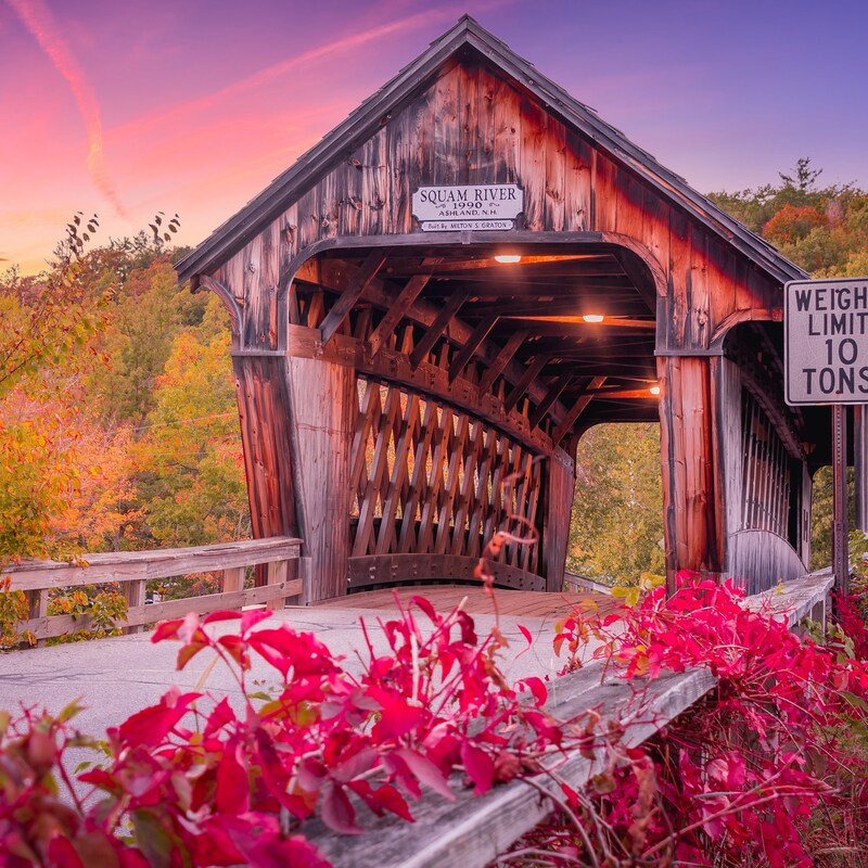 Thanksgiving Bridge - Etsy Canada