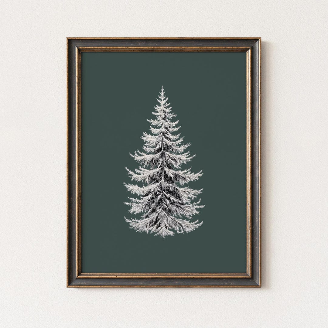 Winter Evergreen Tree Printable Wall Art Rustic Christmas Tree Download ...