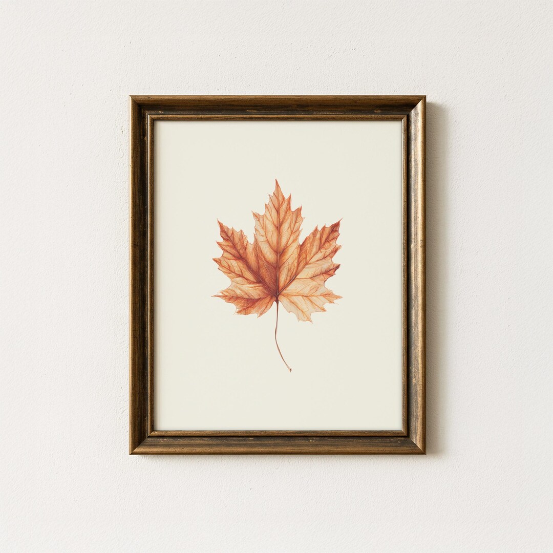 Printable Fall Leaf Wall Art Botanical Maple Leaf Drawing Autumn Nature ...