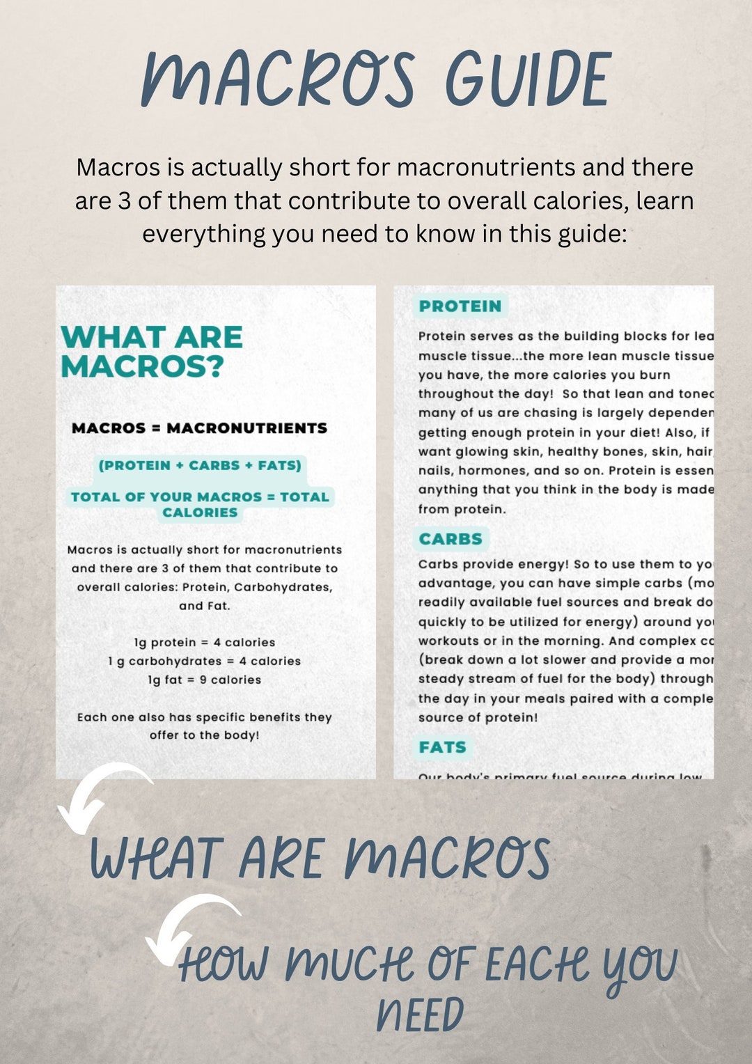 Macros Explained! How to Build Your Plate: A Step-by-step Guide. - Etsy