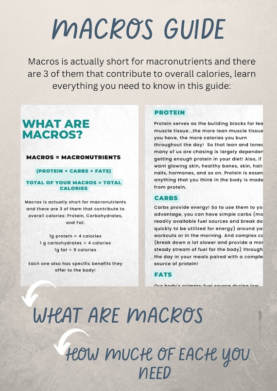 Macros Explained How to Build Your Plate: A Step-by-step - Etsy