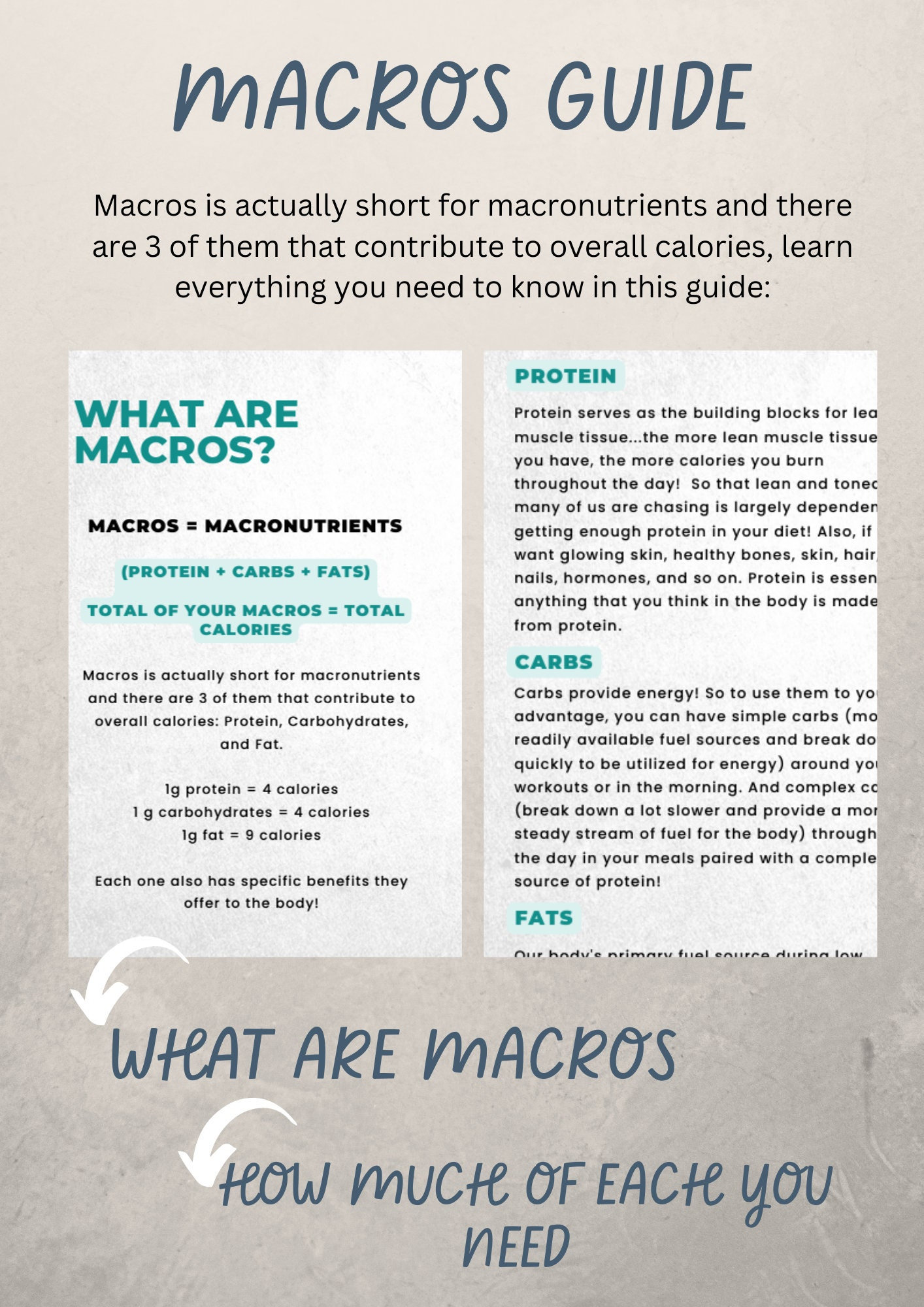 Macros Explained! How to Build Your Plate: A Step-by-step Guide. - Etsy Macros Explained! How to Build Your Plate: A Step-by-step Guide. - Etsy