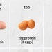 High Protein Foods Reference Chart, PRINTABLE / INSTANT DOWNLOAD. for a ...