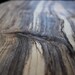 Holly Slab Coffee Table - Etsy