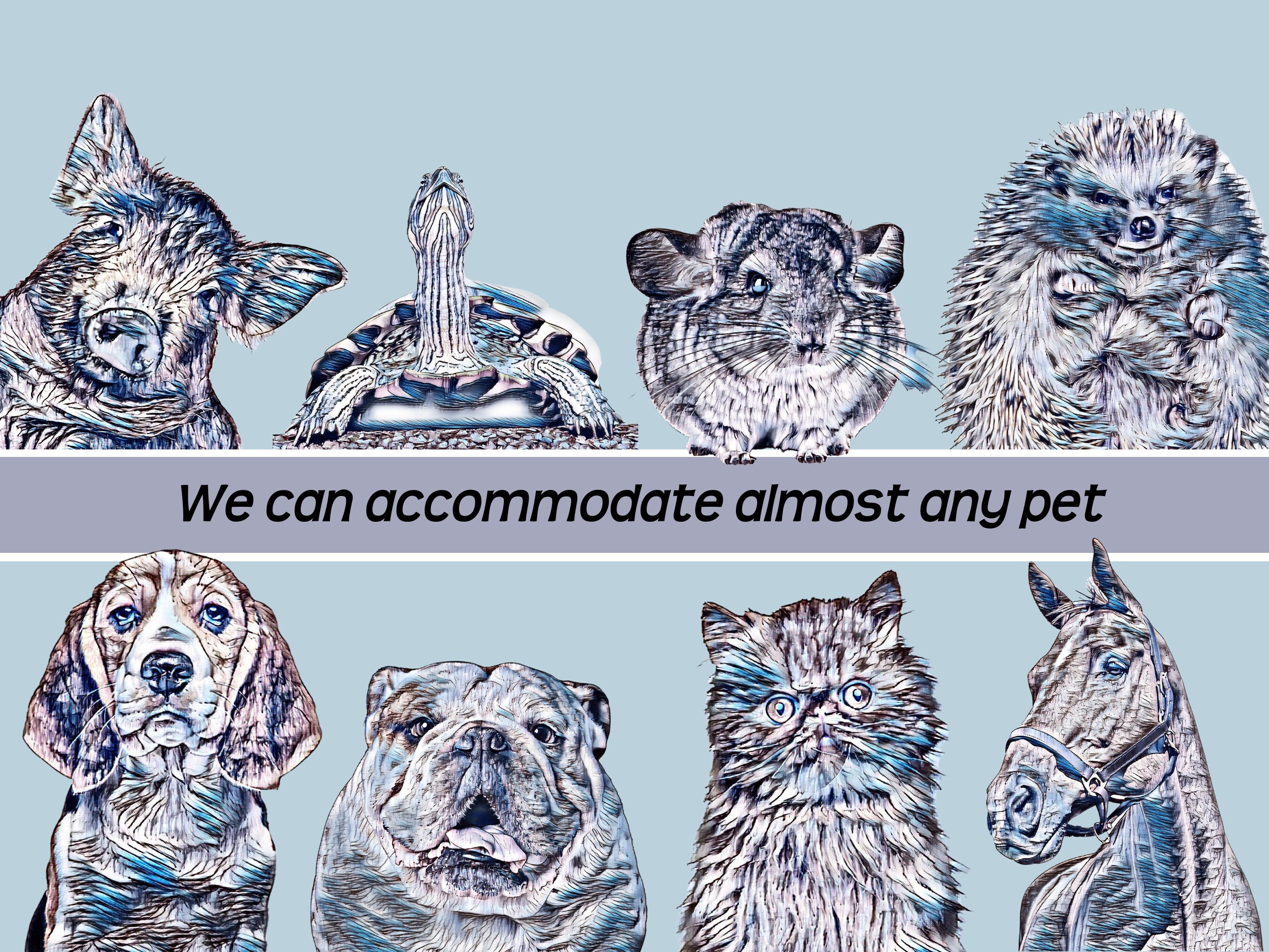 Custom Portrait, Pet Illustration. Wall Art Designed From Your Dogs ...