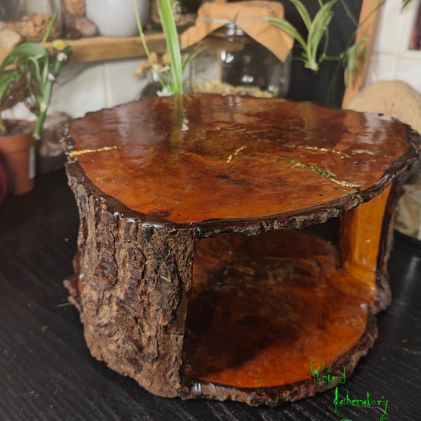 Witchy Spice Rack - Etsy