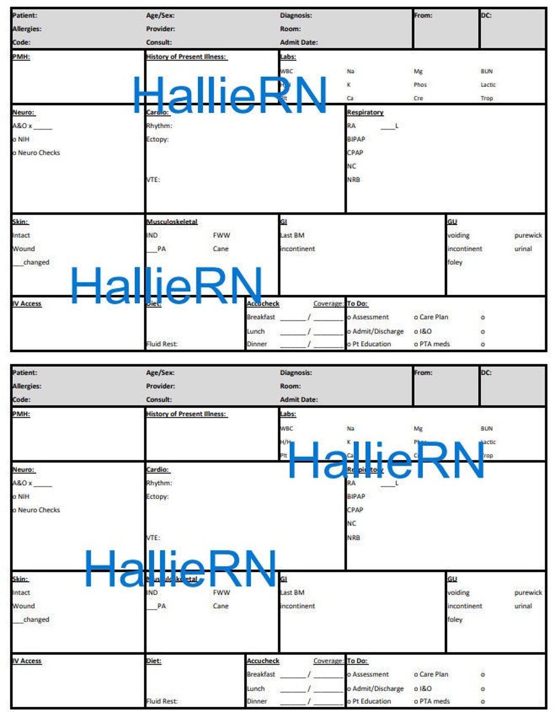 Nurse Report Sheet - 2 Patients - Etsy