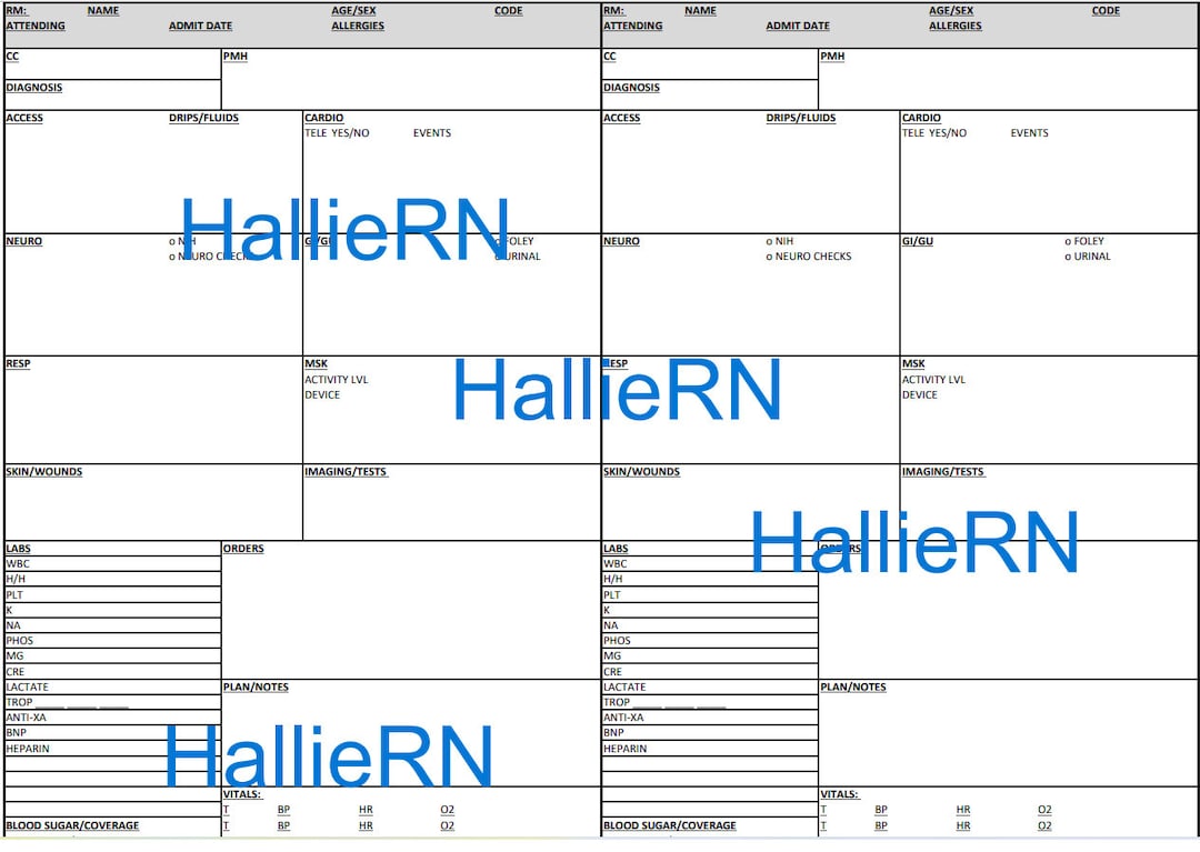 Nurse Report Sheet - 2 Patients - Horizontal - Etsy