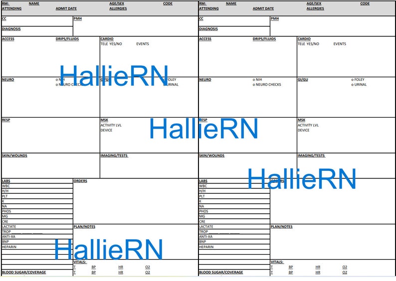 Nurse Report Sheet - 2 Patients - Horizontal - Etsy