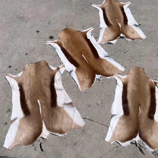 Springbok Hide - Etsy