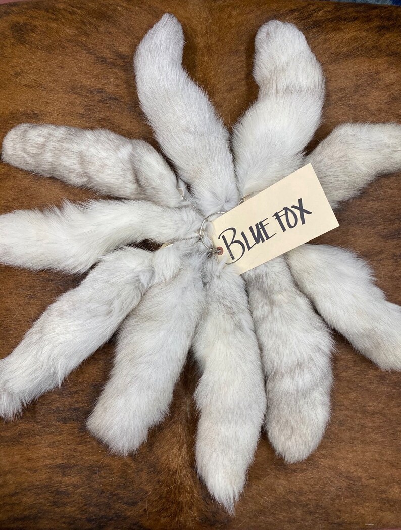 Blue Fox Tail - Etsy