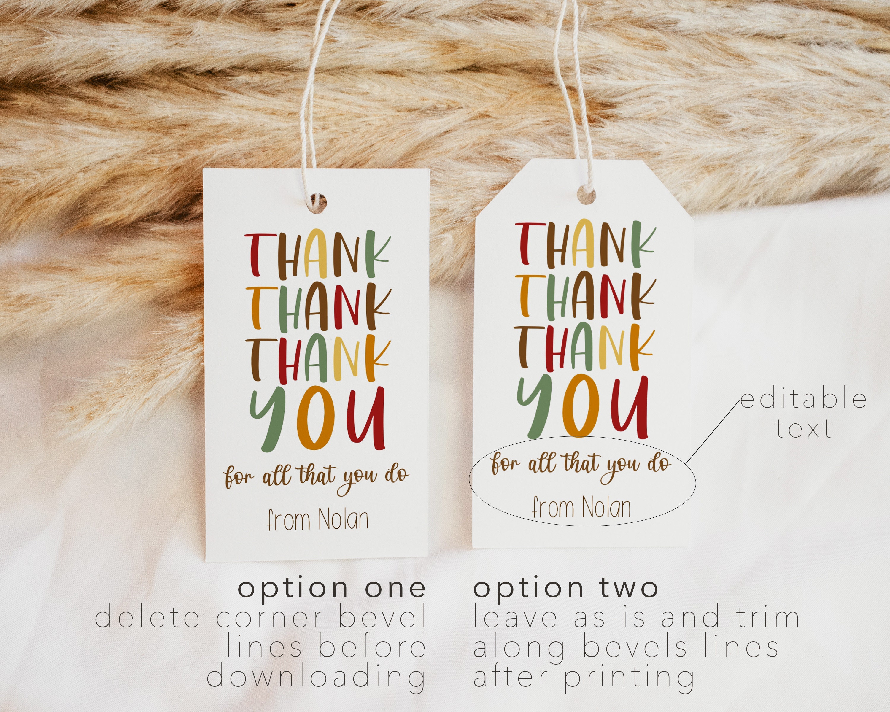 Personalized Teacher Thank You Gift Tag Template Printable Editable - Etsy