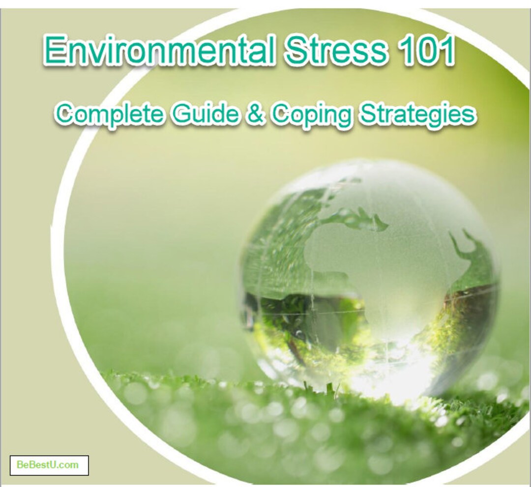 Environmental Stress 101 | Complete Guide and Coping Strategies - Etsy