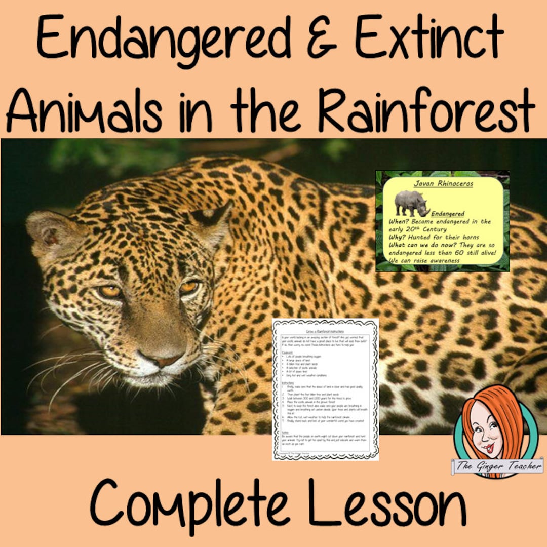 Extinct Rainforest Animals