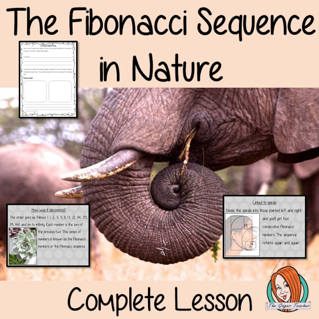 Fibonacci Sequence In Nature