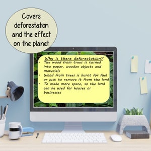 Rainforest Deforestation Lesson - Teaching Resources - Etsy