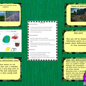 Rainforest Deforestation Lesson - Teaching Resources - Etsy