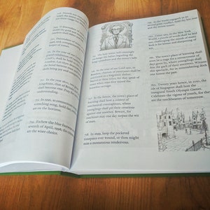 Agnes Nutter's Prophecies Hardcover Book - Good Omens Fan-made ...