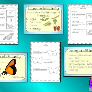 Life Cycles of a Butterfly Complete Science Lesson - Teaching Resources ...