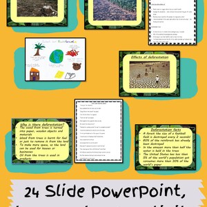 Rainforest Deforestation Lesson - Teaching Resources - Etsy