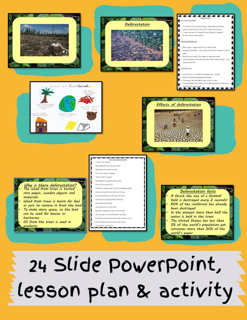 Rainforest Deforestation Lesson Teaching Resources - Etsy