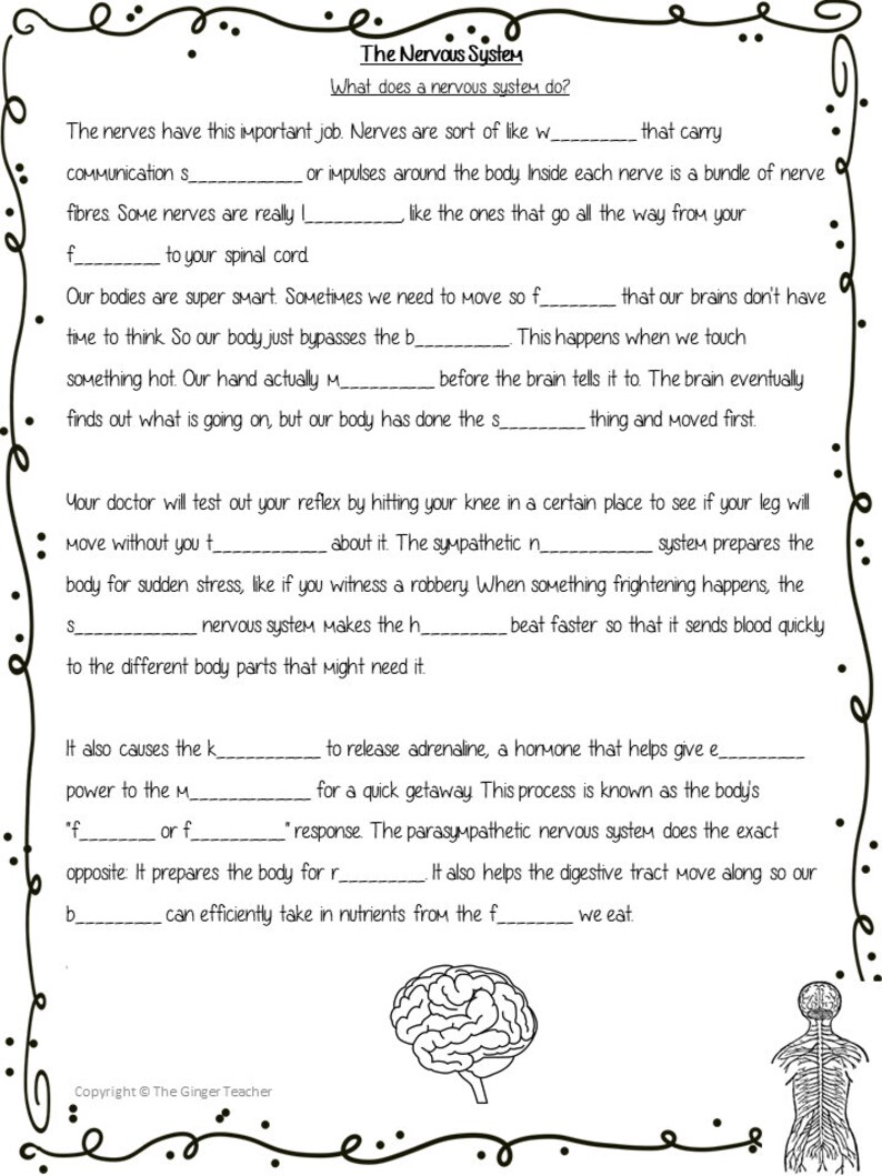 The Nervous System Science Lesson Teaching Resources - Etsy