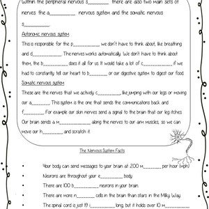 The Nervous System Science Lesson - Teaching Resources - Etsy