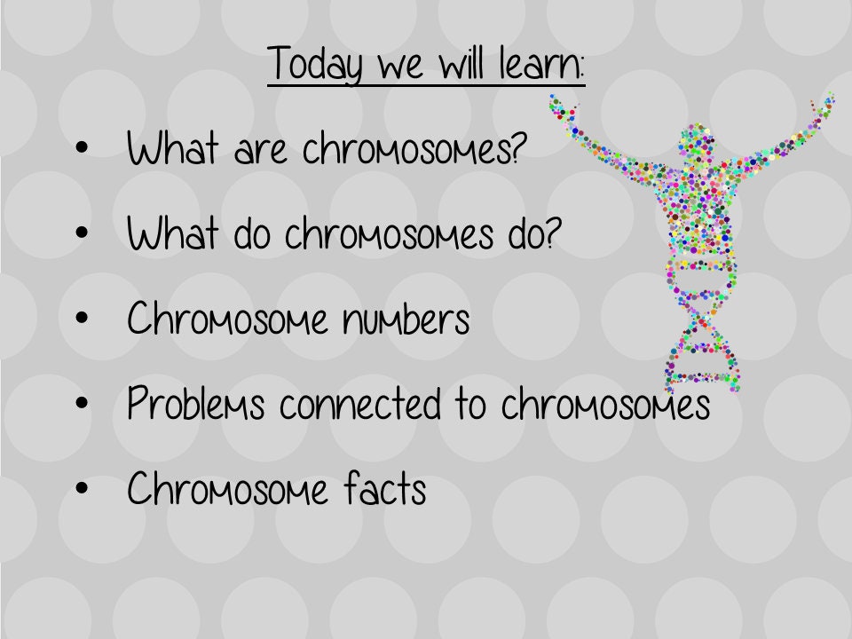 Chromosomes Lesson Teaching Resources - Etsy