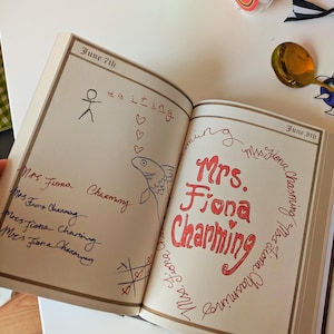 Princess Fiona's Diary From Shrek. Screen Replica Fan Gift Diary ...