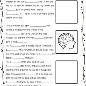 The Nervous System Science Lesson - Teaching Resources - Etsy