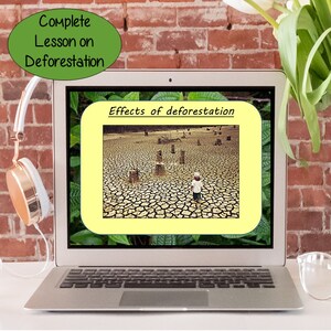 Rainforest Deforestation Lesson - Teaching Resources - Etsy