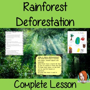 Rainforest Deforestation Lesson - Teaching Resources - Etsy