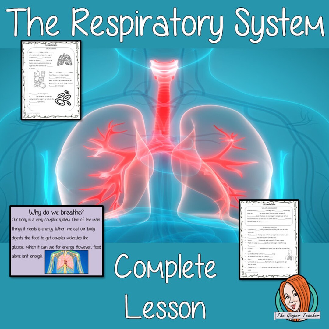 The Respiratory System Science Lesson - Teaching Resources - Etsy