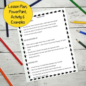 Rainforest Deforestation Lesson - Teaching Resources - Etsy