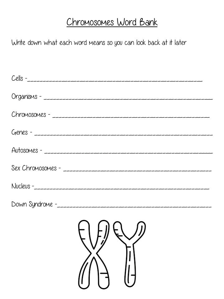 Chromosomes Lesson Teaching Resources - Etsy