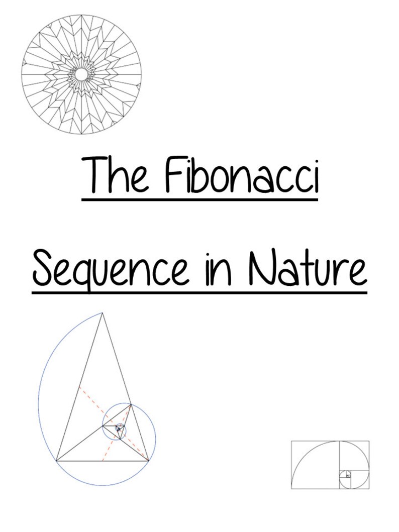 The Fibonacci Sequence Mathematics in Nature - Etsy