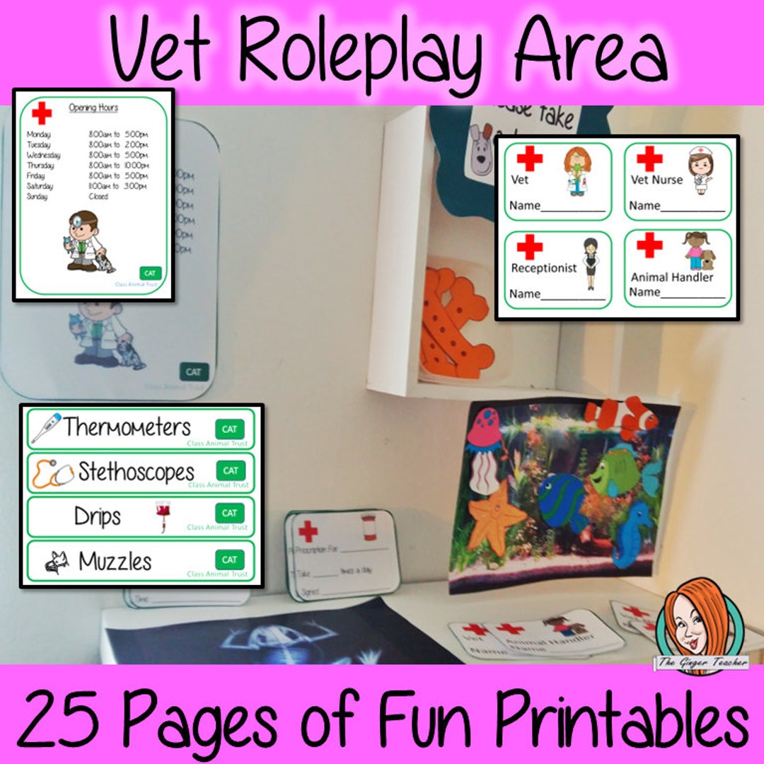 Vet Clinic Role Play Area - Teaching Resources - Etsy