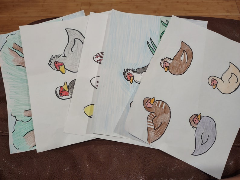 Muscovy Duck Coloring and Info Pages for Children— 5 Coloring Pages, 5 ...