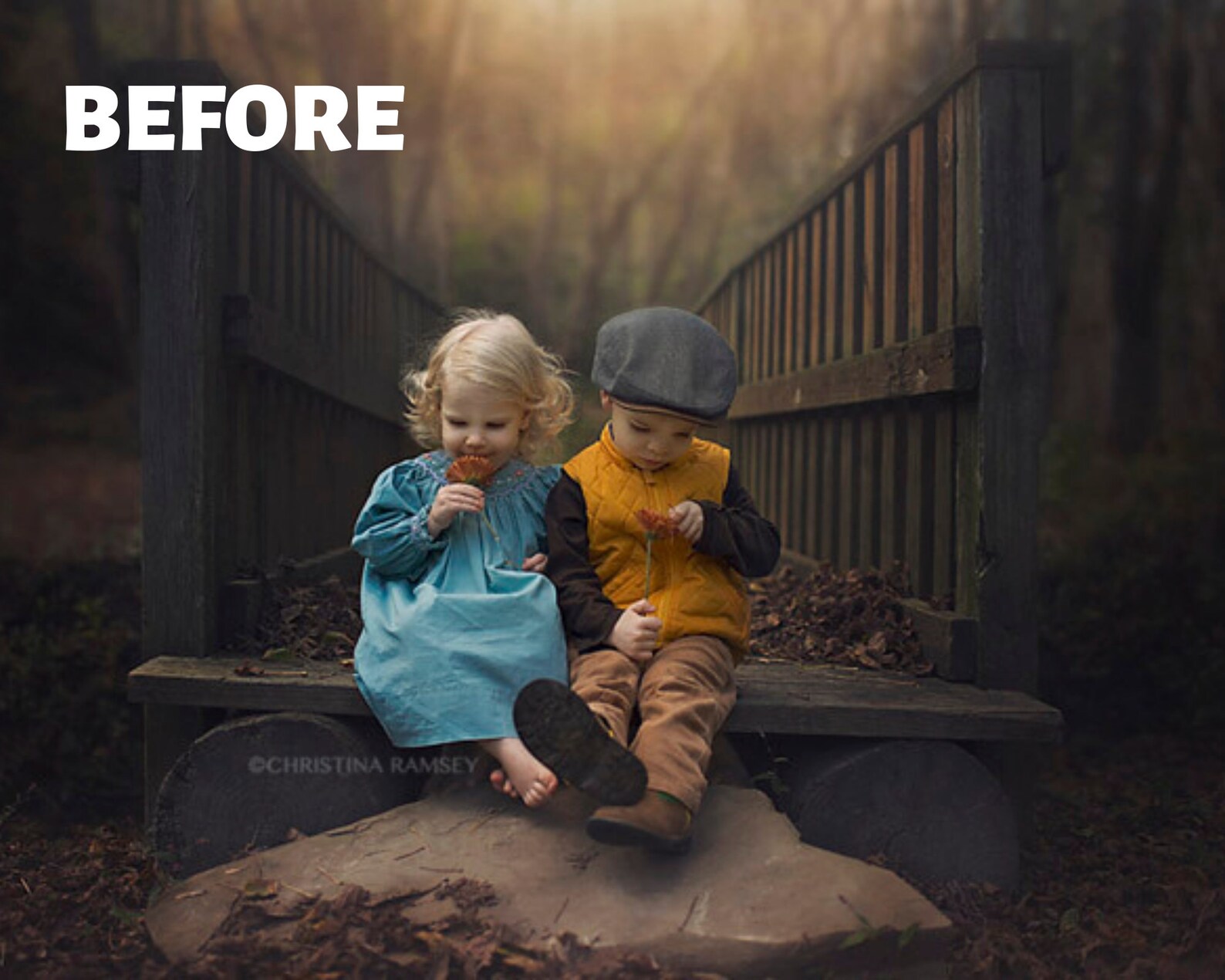 50 Bokeh Dust Overlays, Bokeh Overlays, Photoshop Overlays, Glitter ...