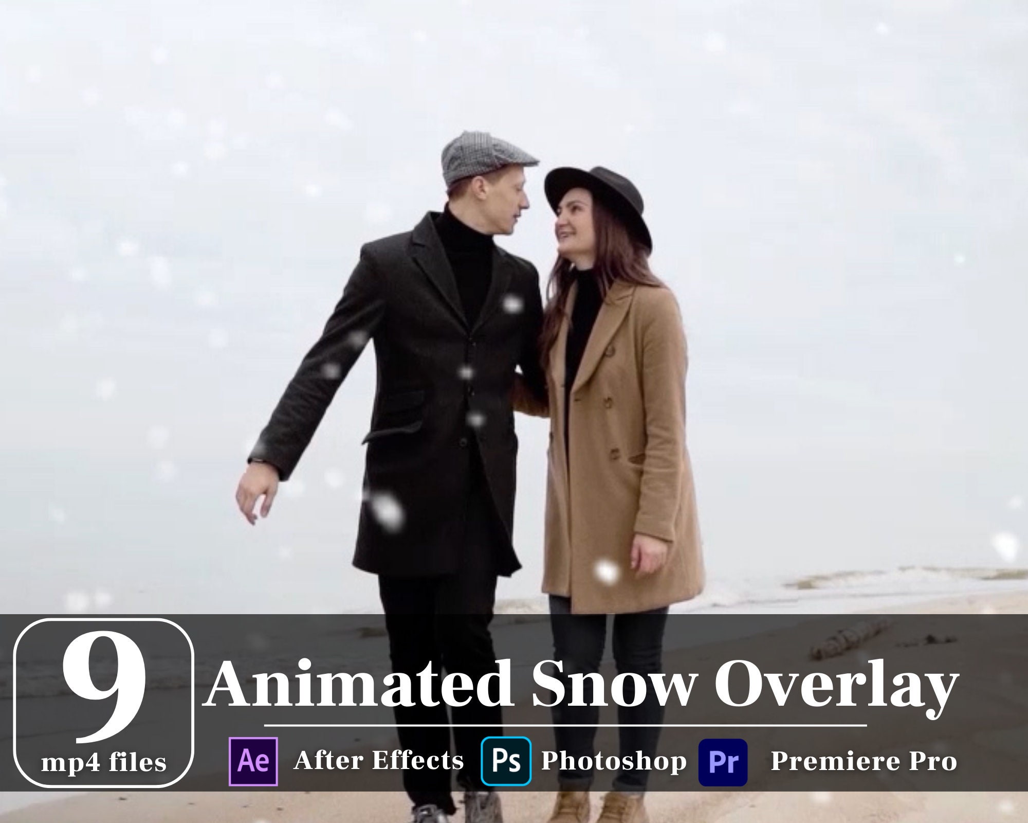 9 Snow on the Beach Animated Overlays, Animated Snow Overlay, Snow ...