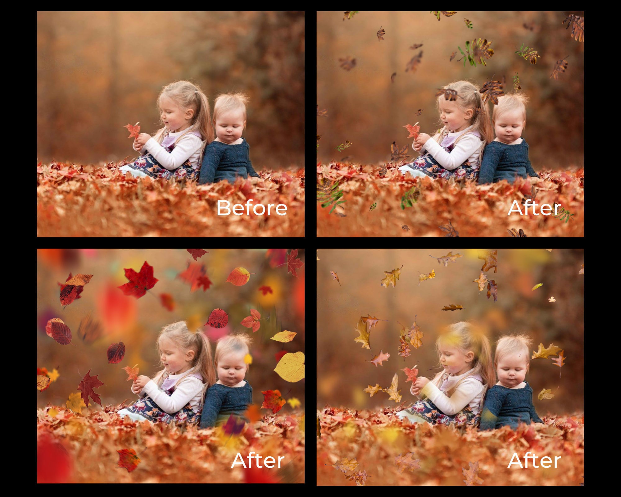100 Autumn Leaves Overlay Bundle, Oak Leaves Overlay, Photoshop Overlay ...