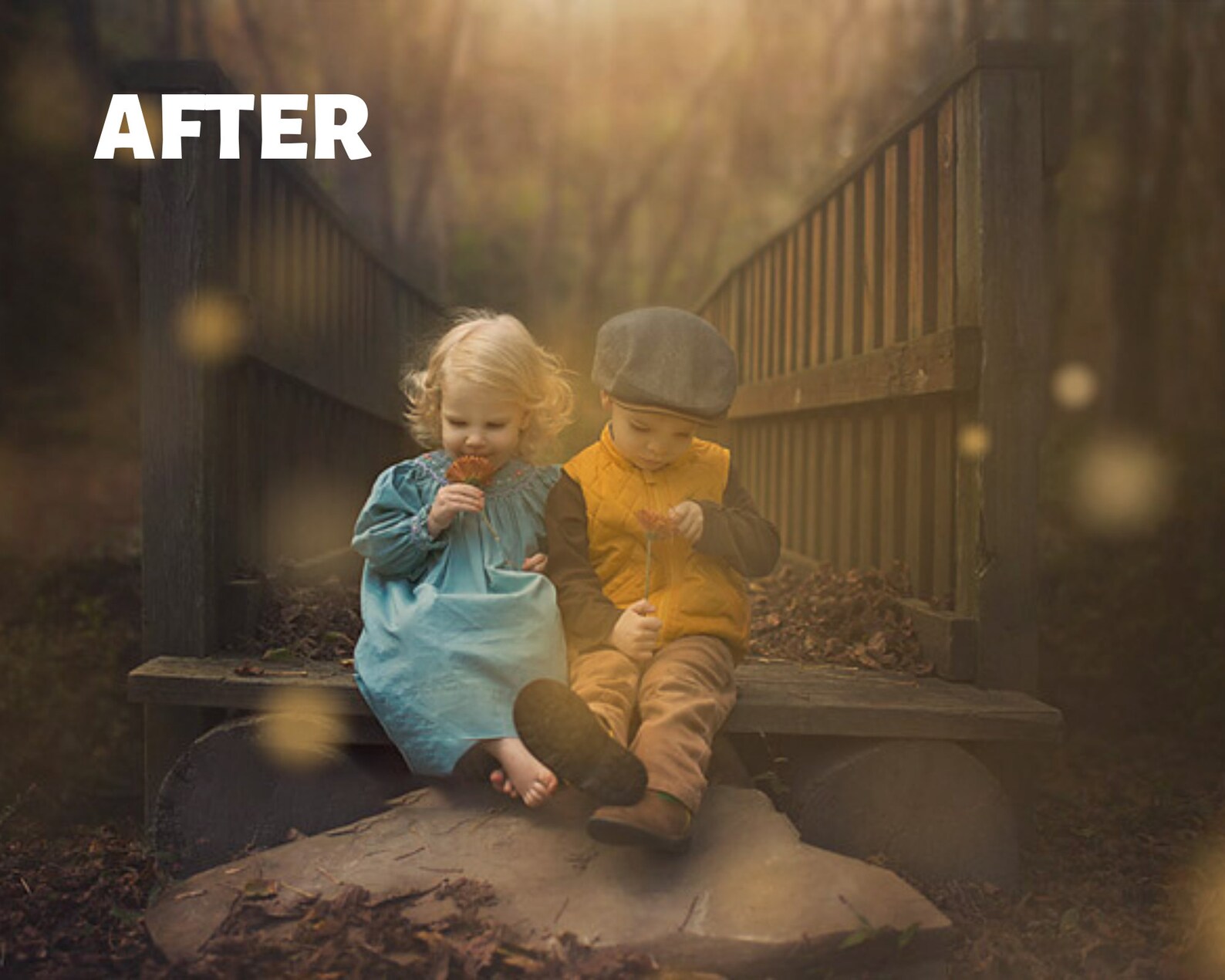 50 Bokeh Dust Overlays, Bokeh Overlays, Photoshop Overlays, Glitter ...