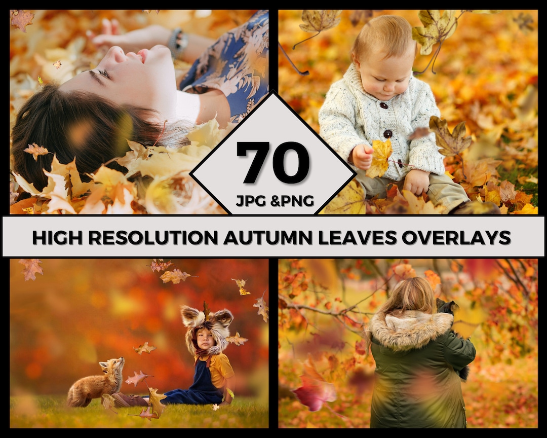 70 Autumn Leaves Overlay Bundle, Fall Leaves, Photography Overlay ...