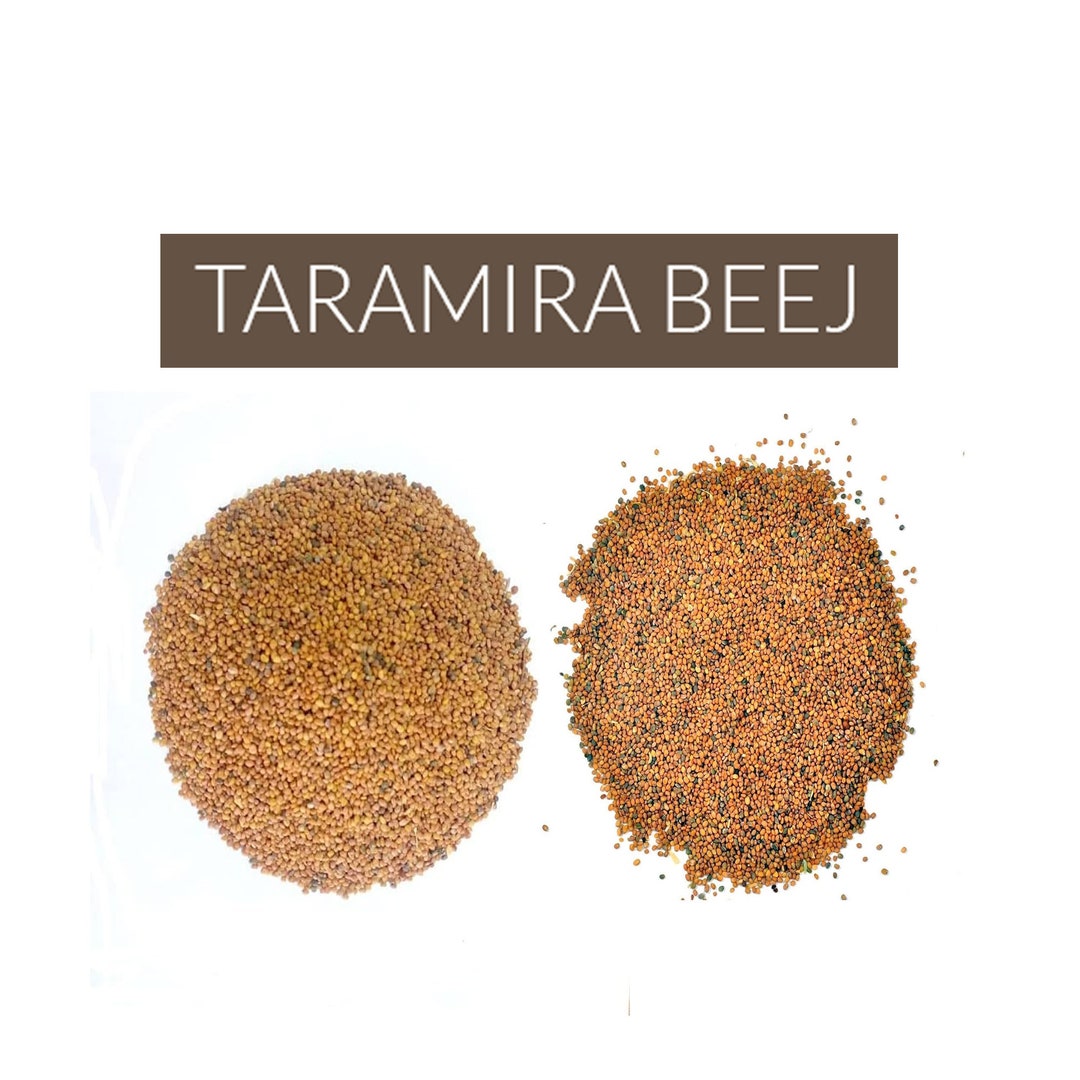 Taramira Seeds, Tarameera Seed, Natural Taramira Seeds, Eruca Sativa ...
