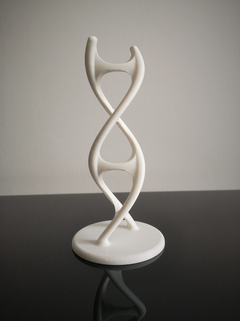 DNA Model, 3D Printed DNA Helix Sculpture - Etsy
