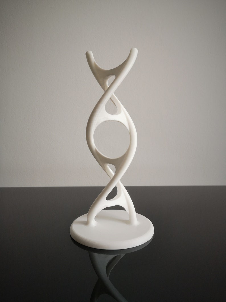 DNA Model, 3D Printed DNA Helix Sculpture - Etsy