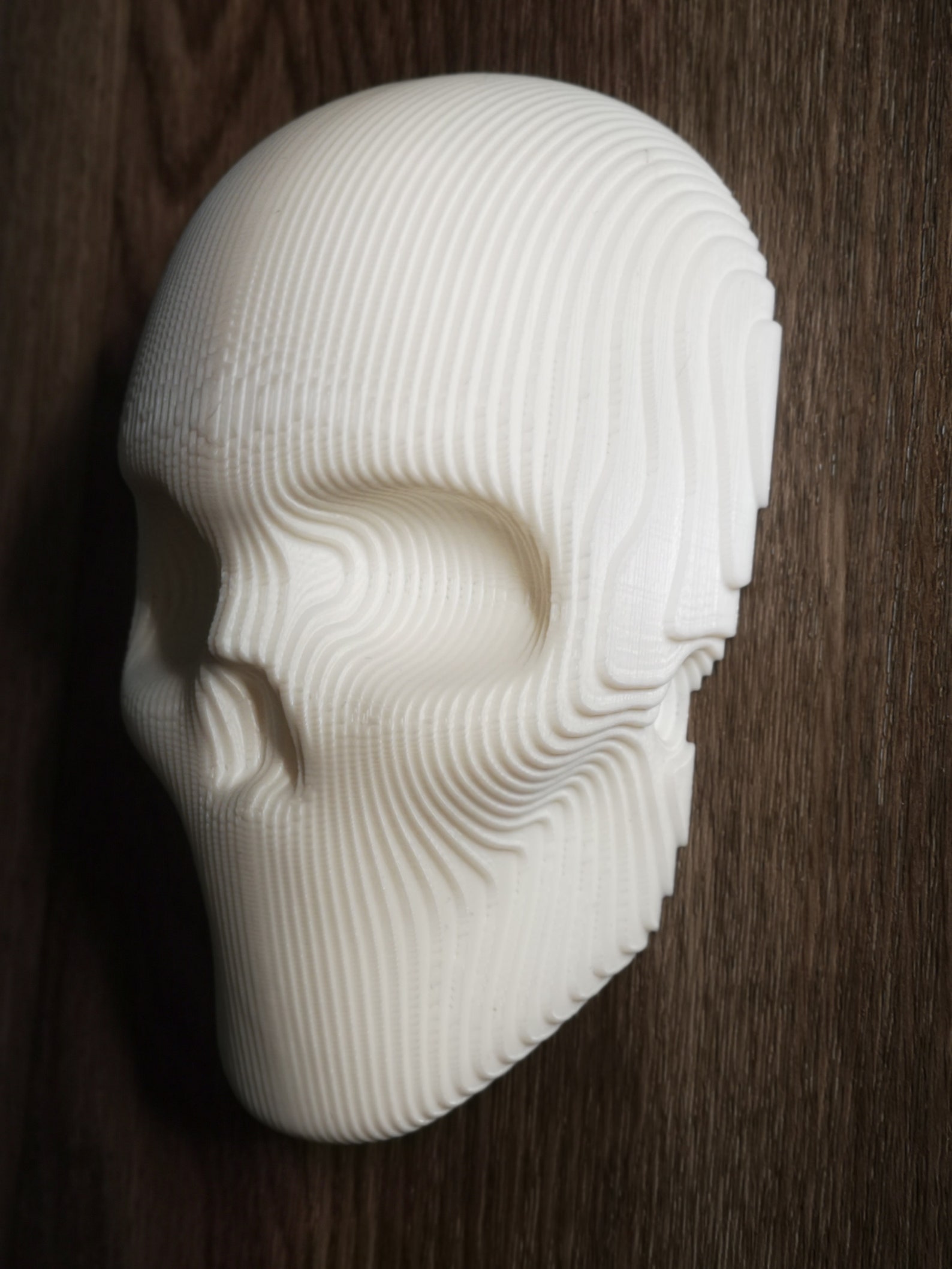 Sliced Skull Wall Decor, Modern Skull Statue - Etsy