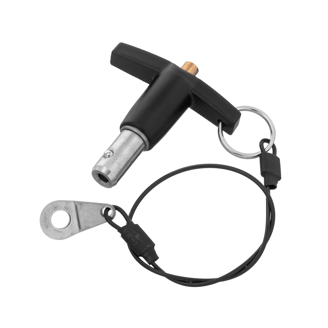 10mm X 10mm Ball Lock Pin With Cable & Black T Head Stainless Steel ...