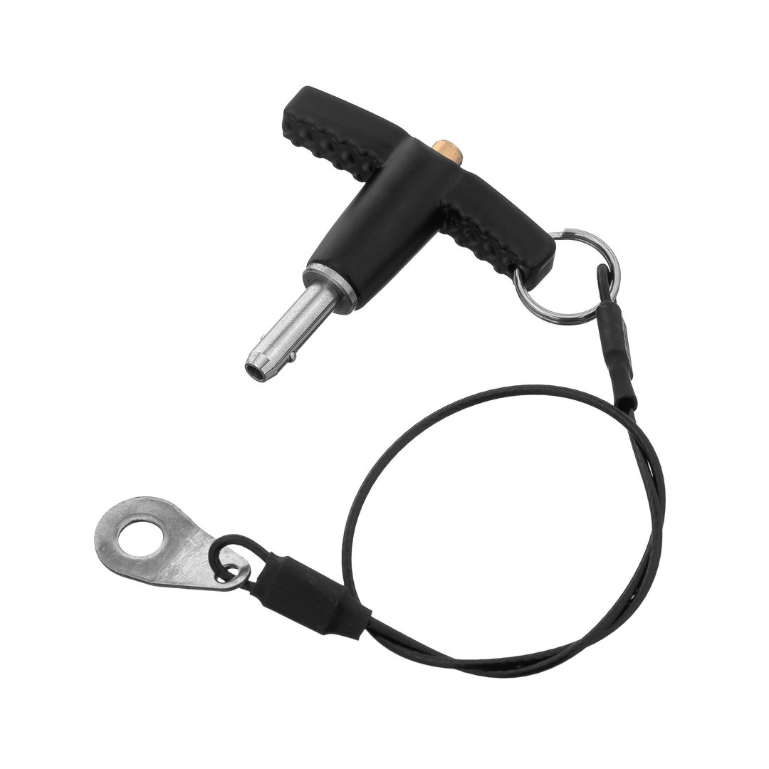 5mm X 10mm Ball Lock Pin With Cable & Black T Head Stainless Steel ...